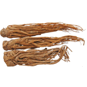 Maca Revive - Chăm Sóc Sức Khỏe Phụ Nữ Tiền Mãn Kinh